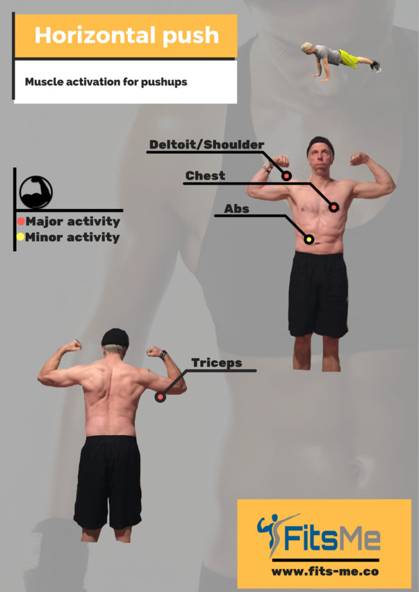 The bodyweight triceps exercises you need to know